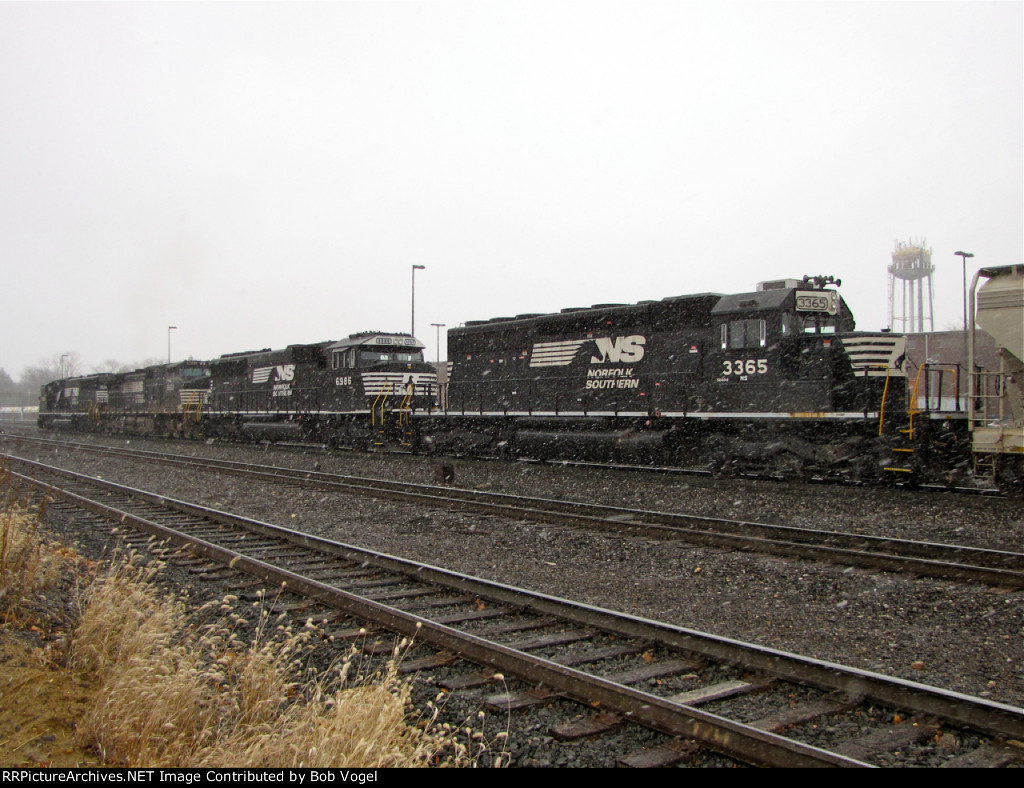 NS 3365 and 6986